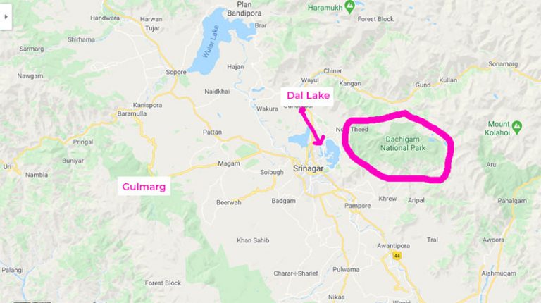 Dachigam National Park, Kashmir Travel Guide - Gyawun