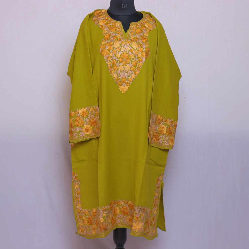 Mustard Green Light Poshbaagh Kashmiri Raffal Border work Ari Pheran ...